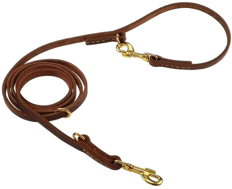How To Choose the Perfect Leather Dog Leash – JUPUDA