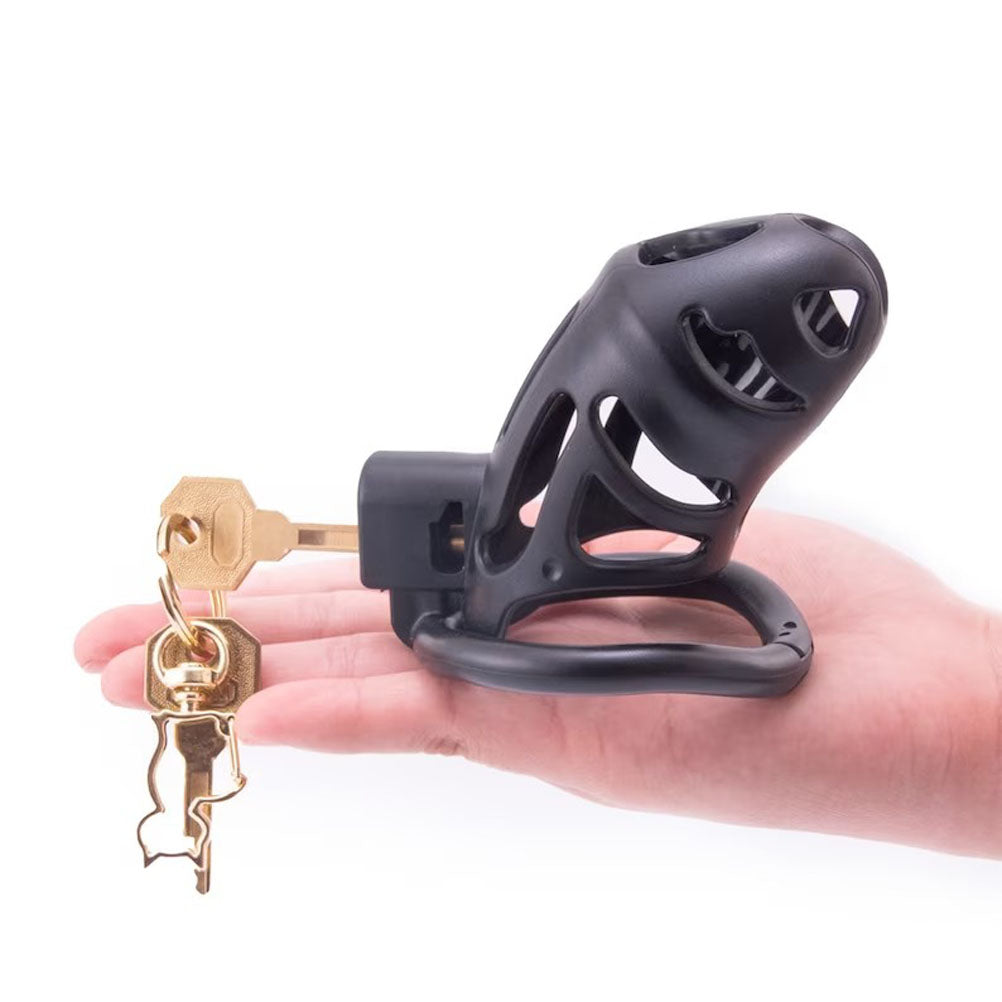 Sensational Resin Cock Cage,Lock Chastity Device with Stimulator Ring ...