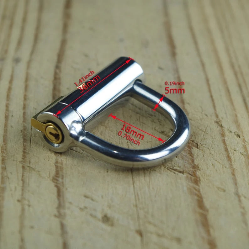 Steel PA Lock Chastity Device Prince Albert Piercing Male Peins Glans ...